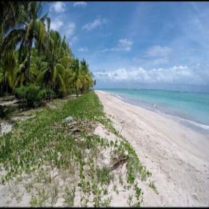 São Miguel dos Milagres: guia completo desse paraíso em Alagoas