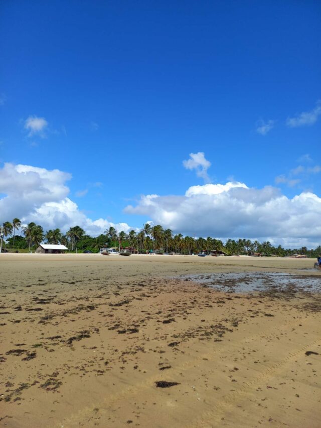 Flecheiras: o que fazer? - Vai Passear