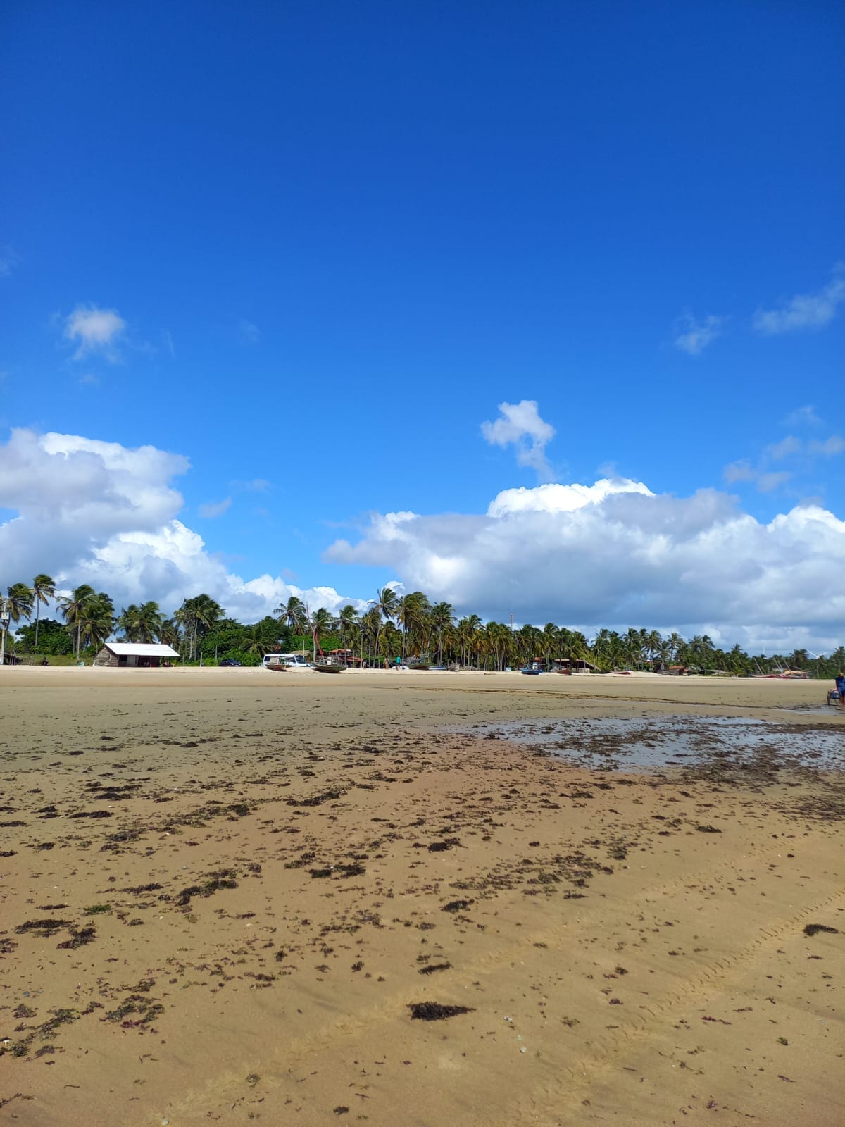 Flecheiras: o que fazer? - Vai Passear