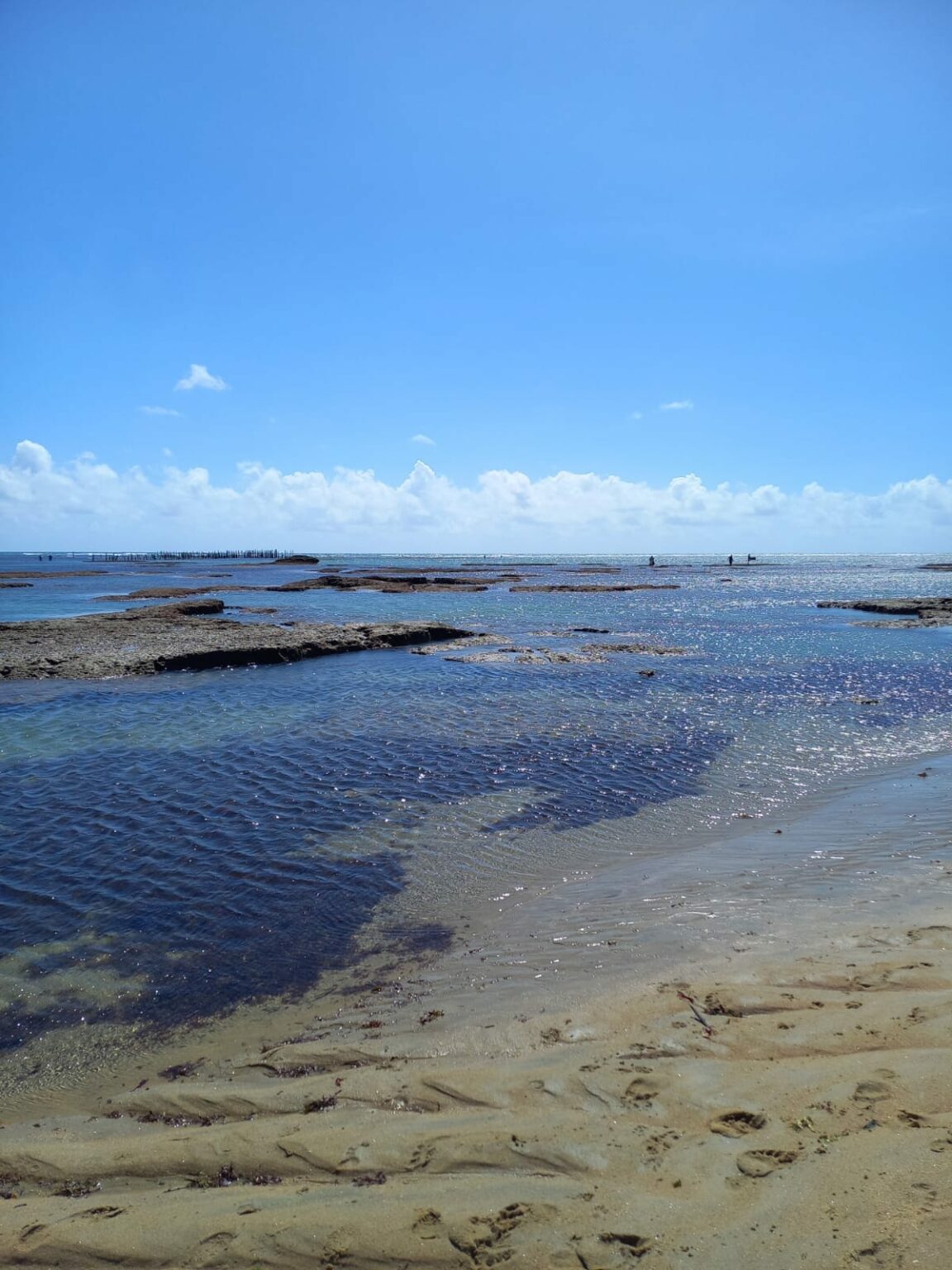 Flecheiras: o que fazer? - Vai Passear